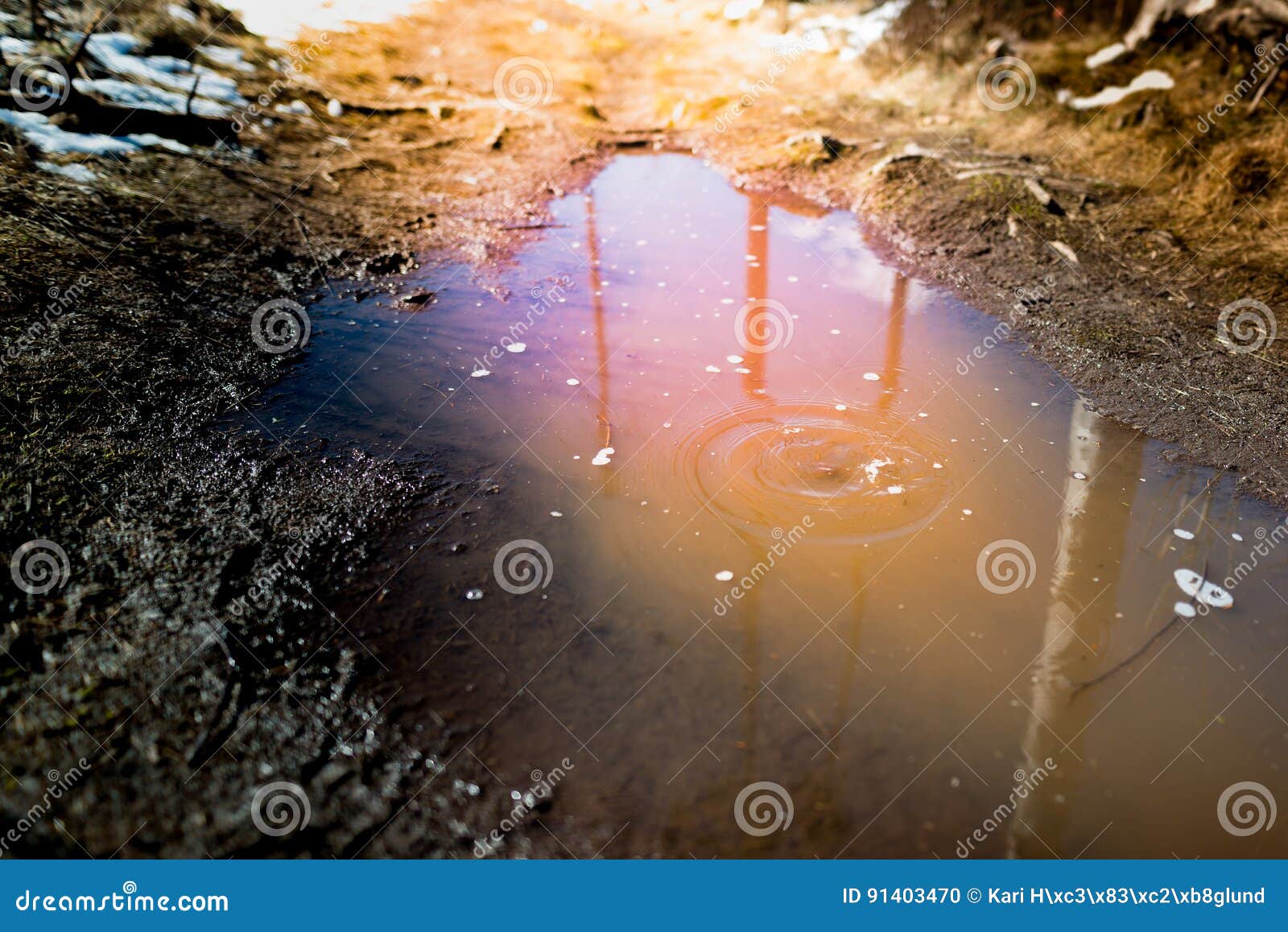 Rain Droplets and Ripples in a Puddle in the Spring Stock Photo - Image ...