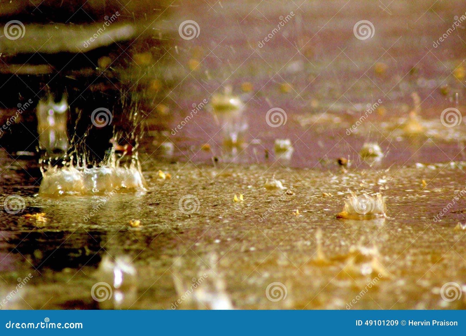 A rain droplets stock image. Image of stage, rain, droplets - 49101209