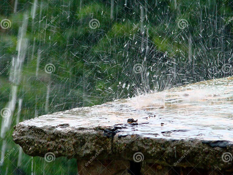 Rain drops stock image. Image of relax, drops, splashes - 12974233