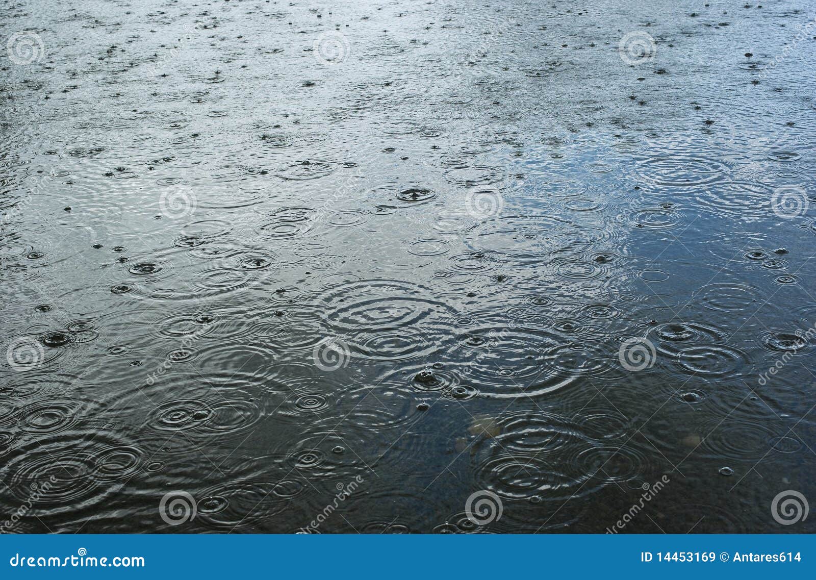 Rain drops stock image. Image of circle, nature, blue - 14453169