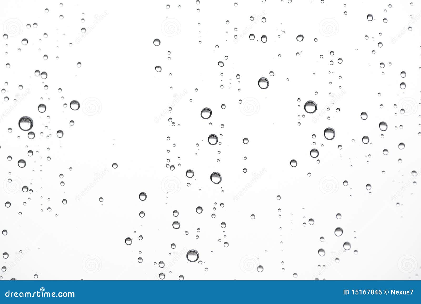 Rain Drops stock photo. Image of drop, nature, perfection - 15167846