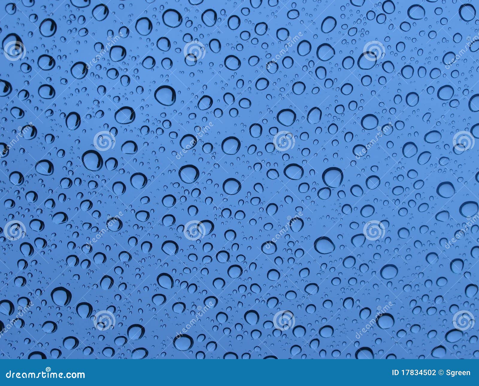 Rain drops stock photo. Image of rain, bubbles, background - 17834502