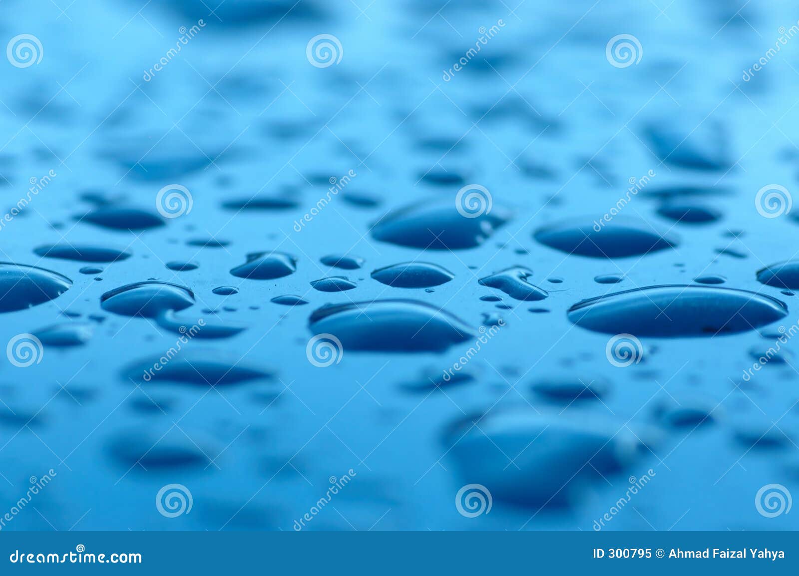 Rain drops stock image. Image of artistic, concept, rain - 300795