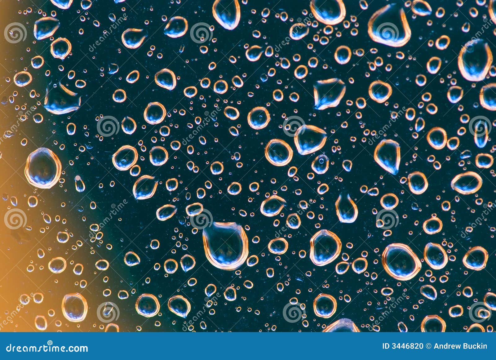 Rain drops stock photo. Image of raindrops, liquid, textured - 3446820