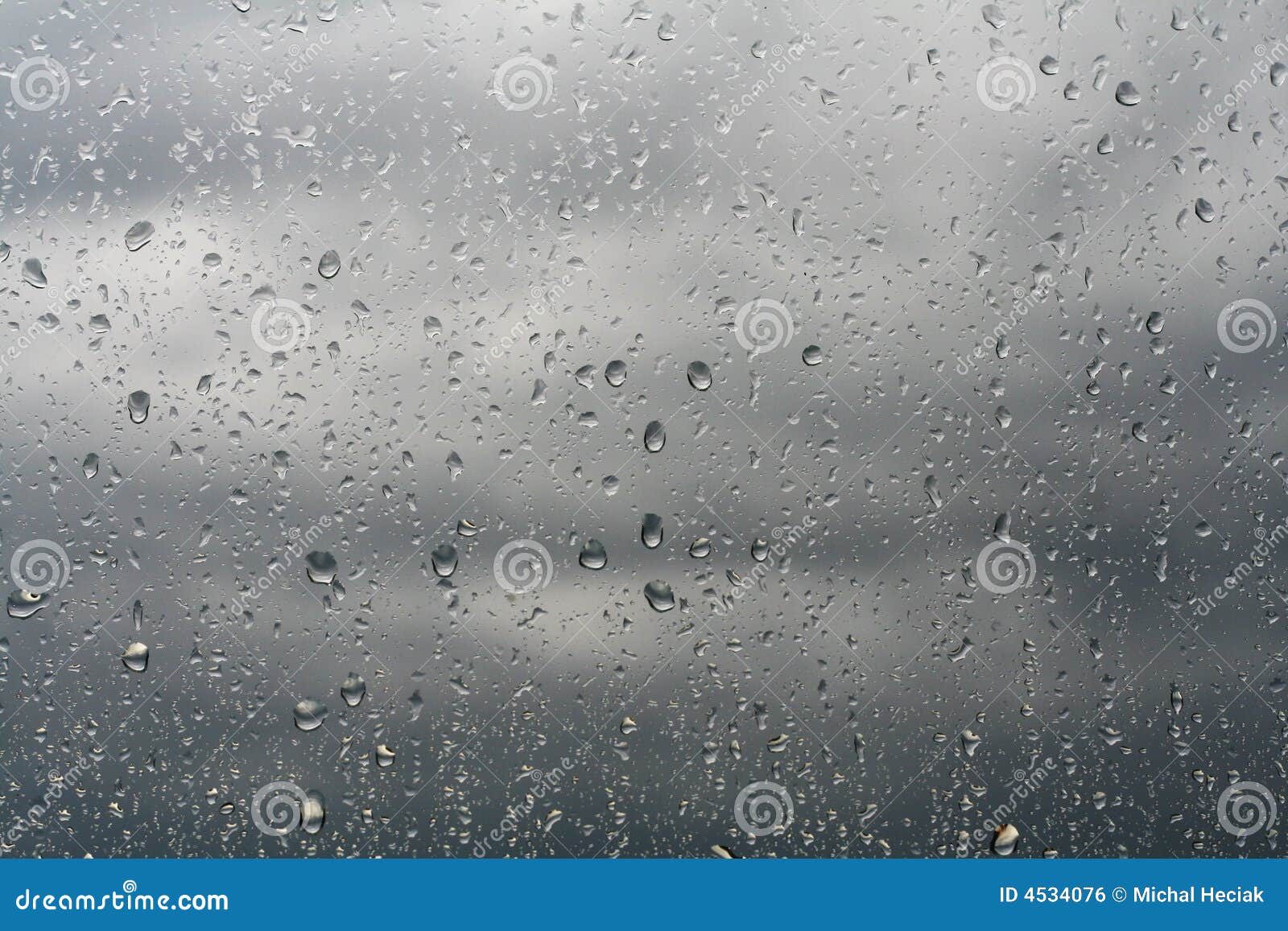 Rain Drops On The Branches Of Trees Royalty-Free Stock Photography ...