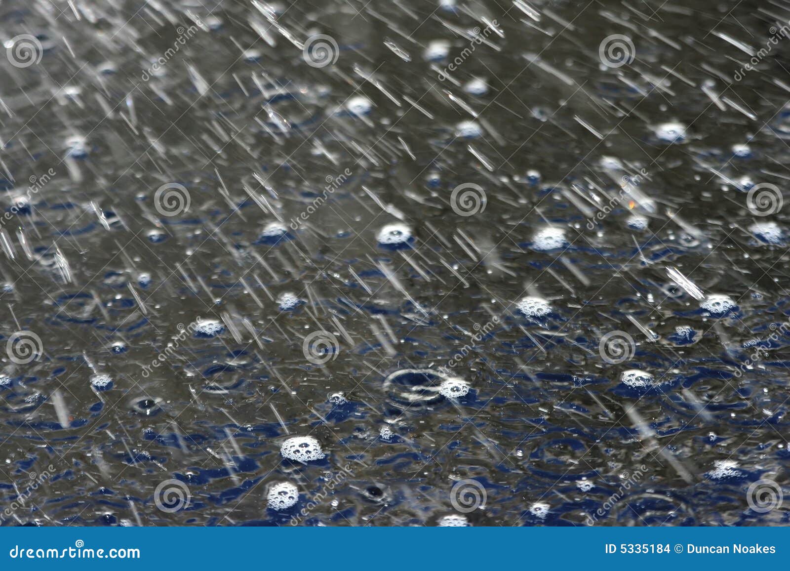Rain Drops stock photo. Image of beauty, rain, weather - 5335184