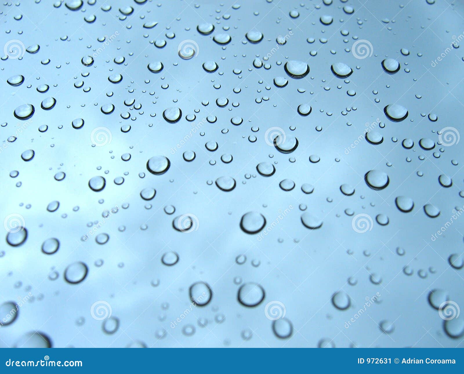 Rain drops stock image. Image of blue, storm, nature, reflection - 972631