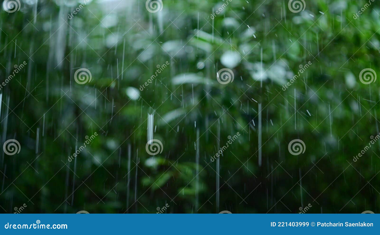 Rain Drops Backdrop with Green Forest, Rainy Concept Stock Image ...