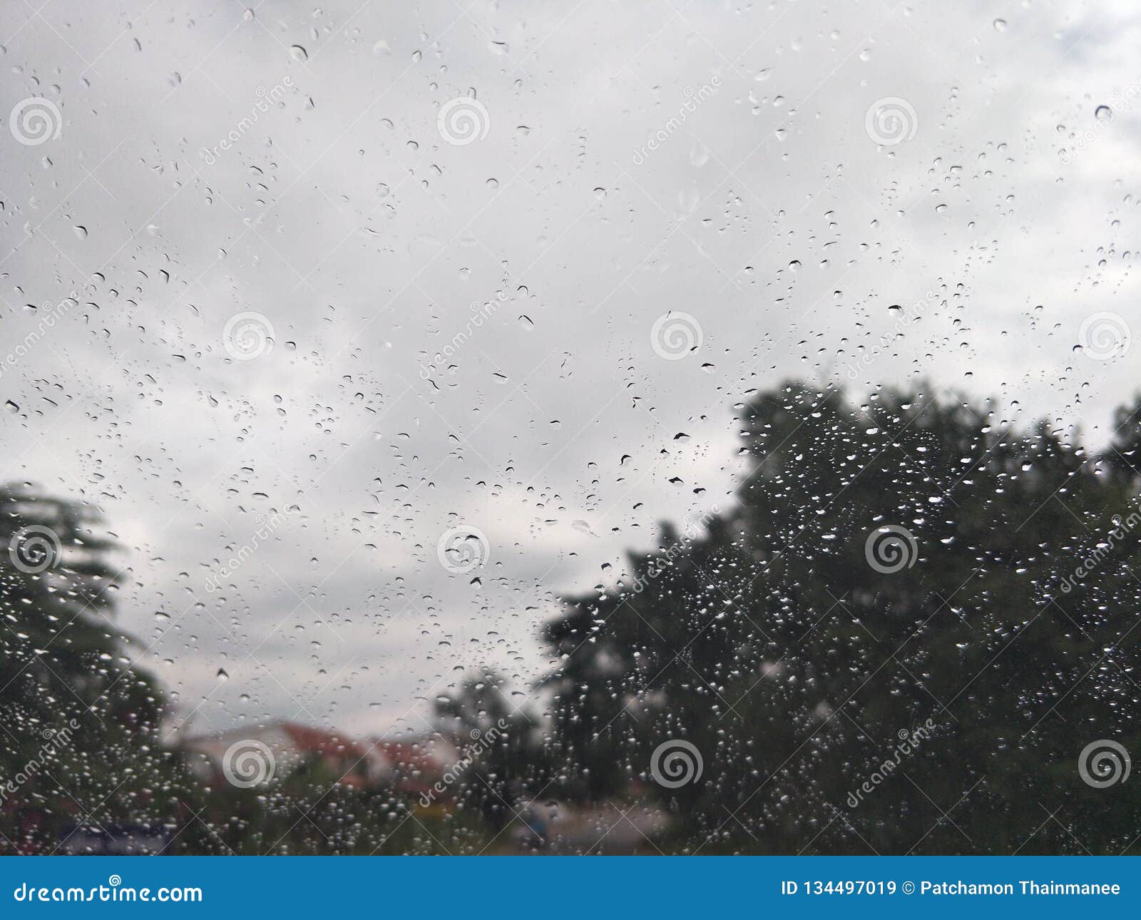 Rain Drops and Beautiful Natural Stock Image - Image of natural, rain ...