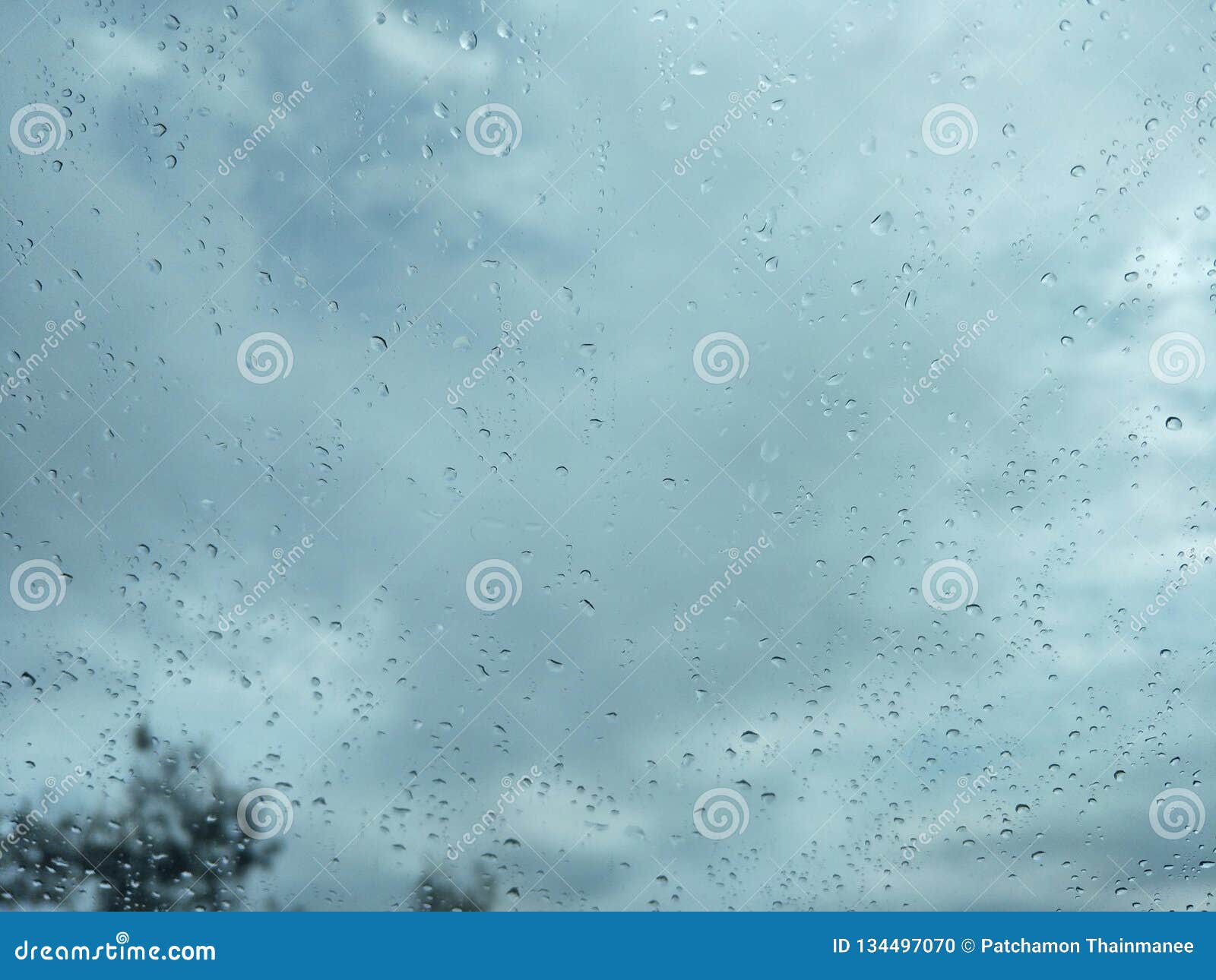 Rain Drops and Beautiful Natural Stock Photo - Image of rain, natural ...