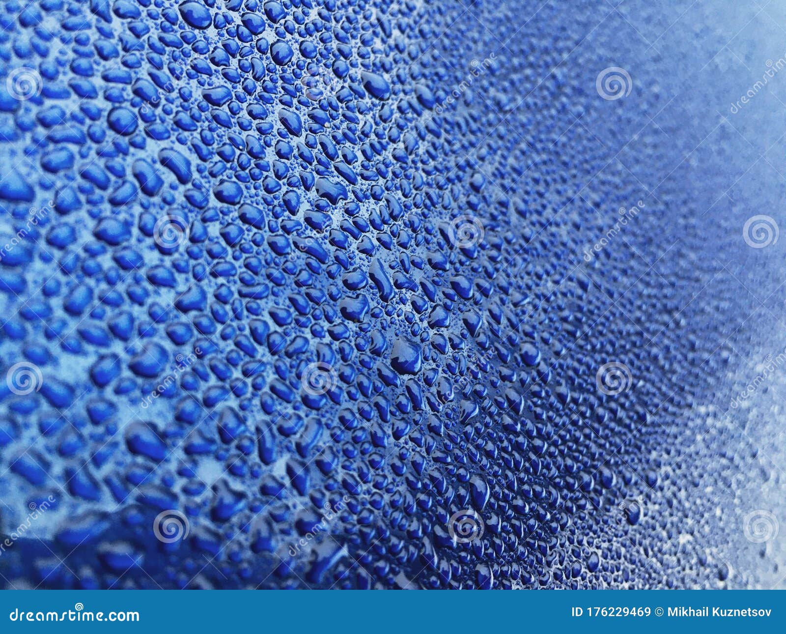 BSA Body Surface Area - Measured Or Calculated Surface Area Of A Human ...