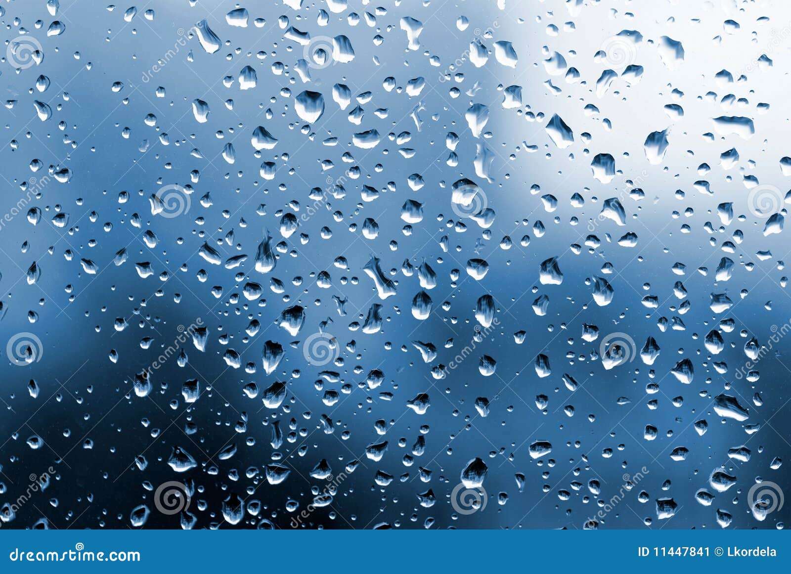 Rain drops with blue light stock image. Image of nature - 11447841