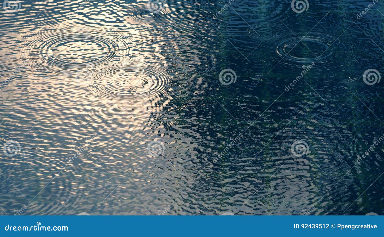 Rain Drops on Blue Water Swimming Pool Stock Photo - Image of garden ...
