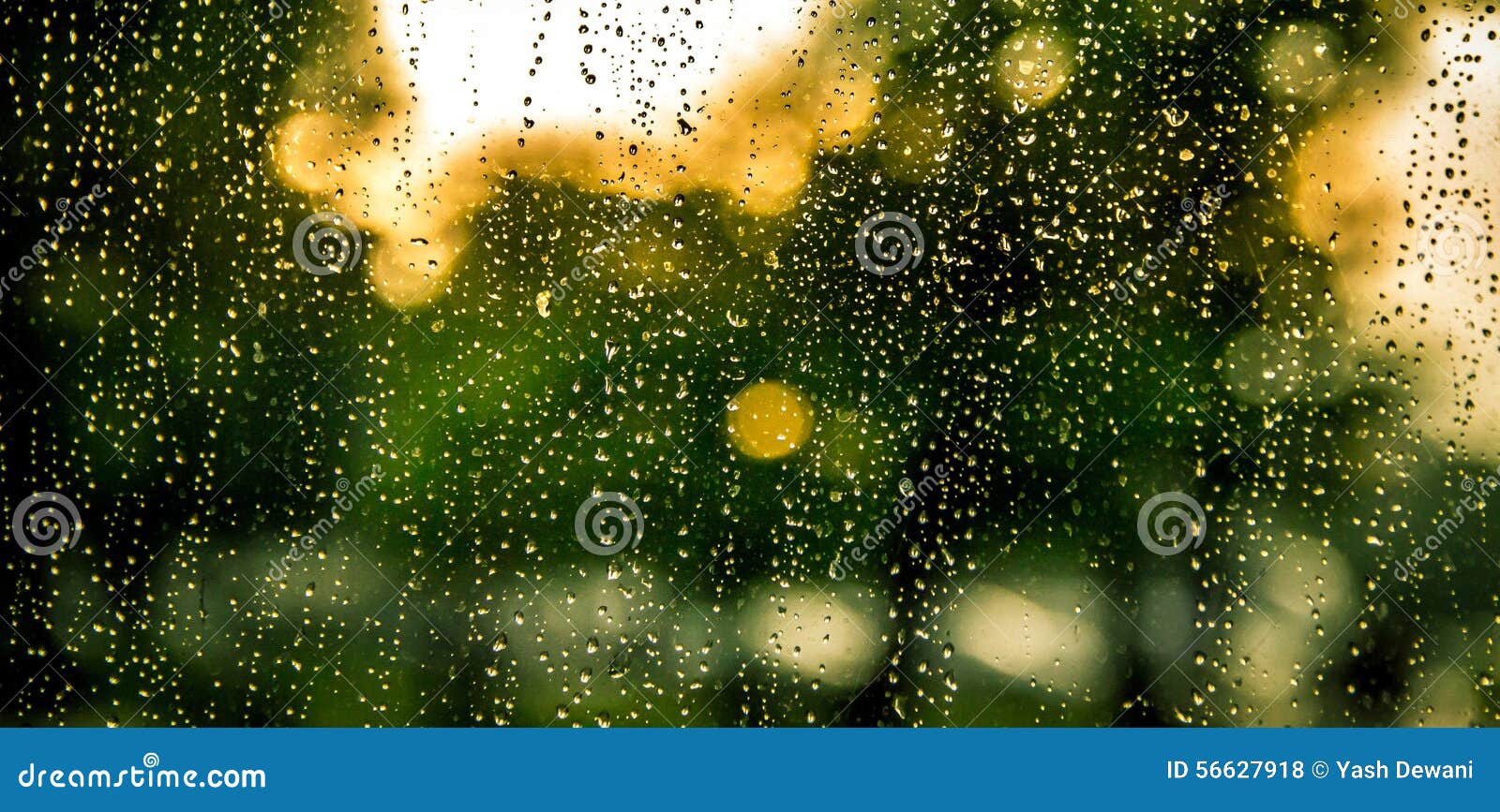 Rain drops on camera stock photo. Image of raining, beautiful - 56627918