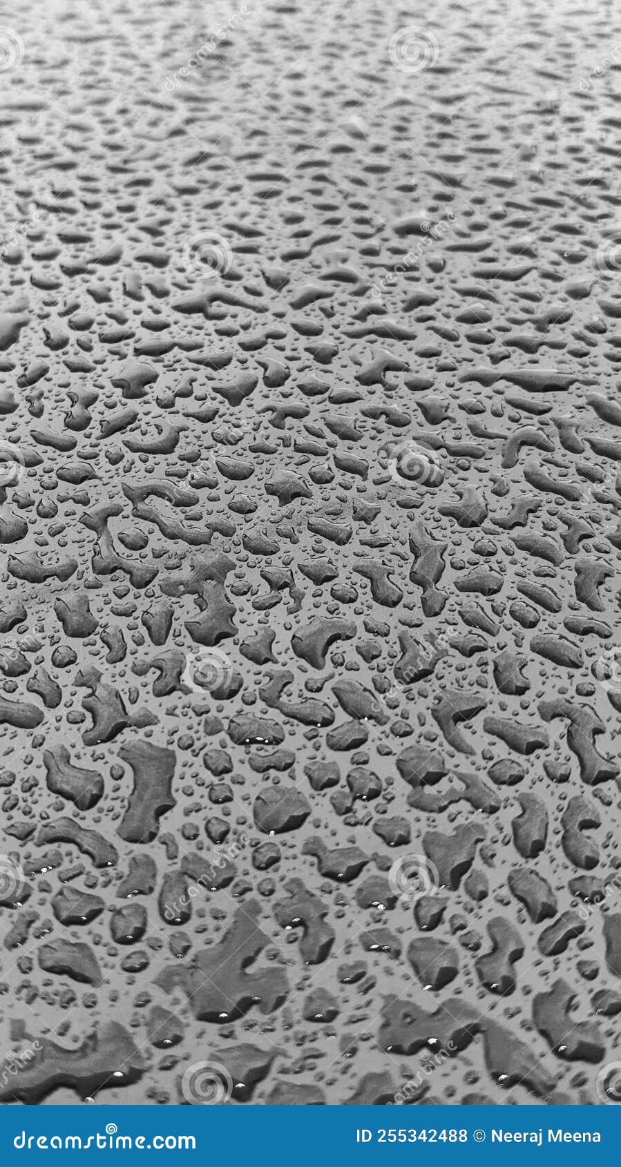 Rain Drops, Captured Using Google Pixel Stock Photo - Image of soil ...