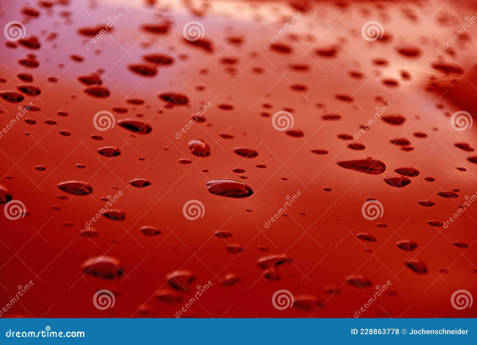 Rain Drops on a Car Engine Hood Stock Photo - Image of full, framed ...