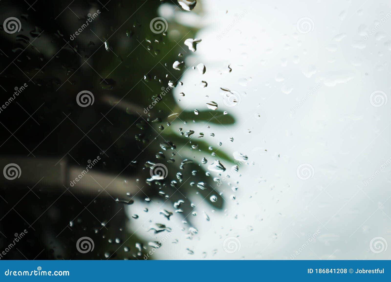 Rain Drops on the Car Glass, Rain Drop on Windshield Stock Photo ...
