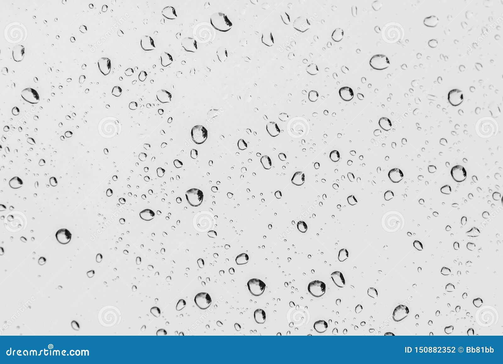 Rain drops on clear window stock photo. Image of sparse - 150882352