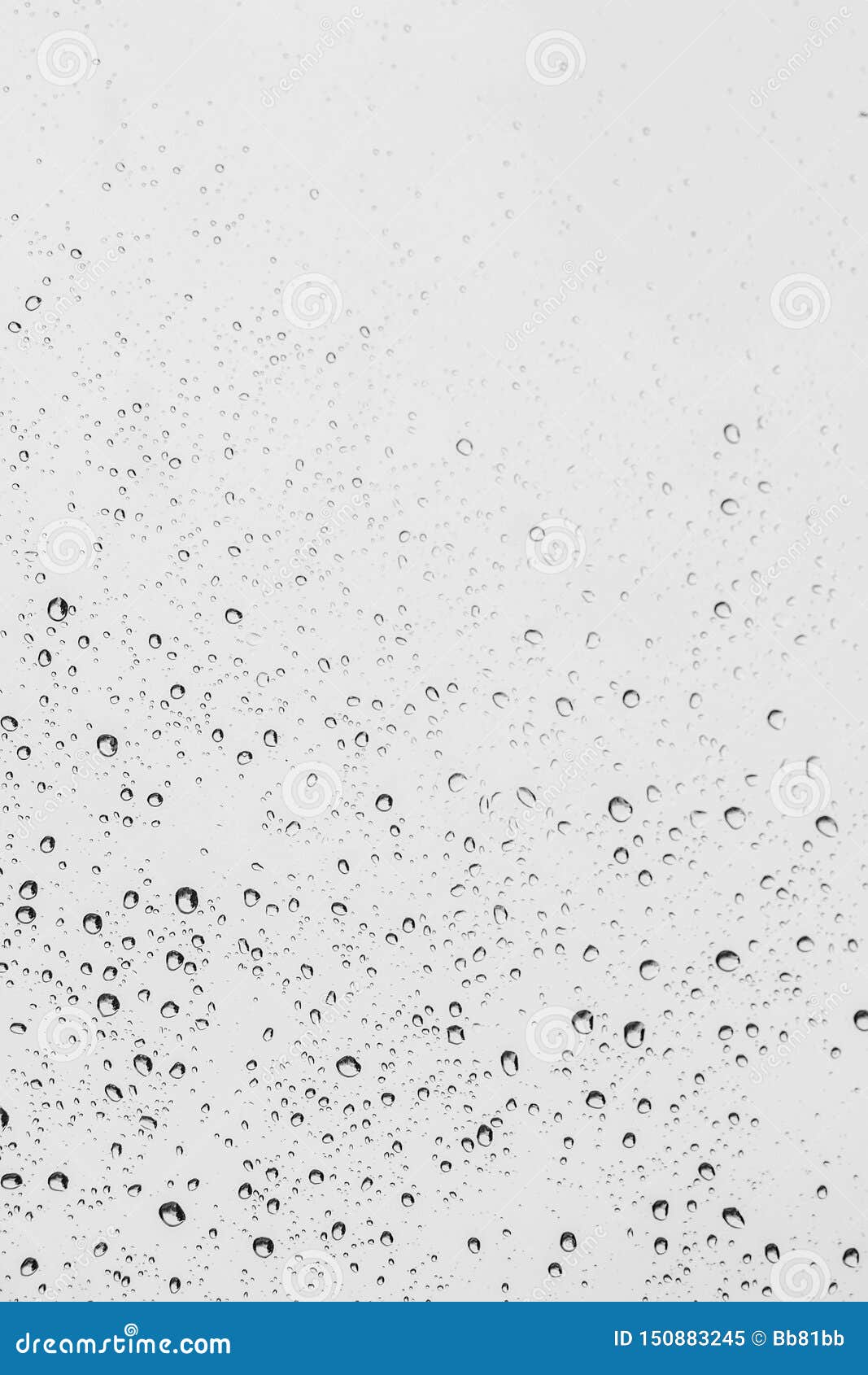 Rain drops on clear window stock image. Image of rain - 150883245