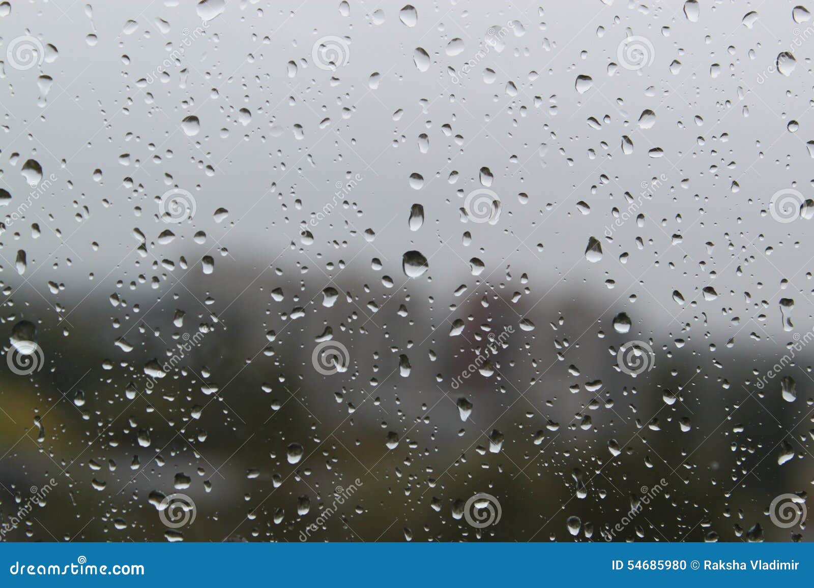 Rain drops in cold weather stock photo. Image of details - 54685980