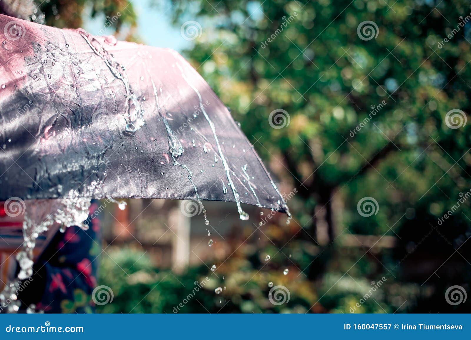 Rain Falling On Umbrella