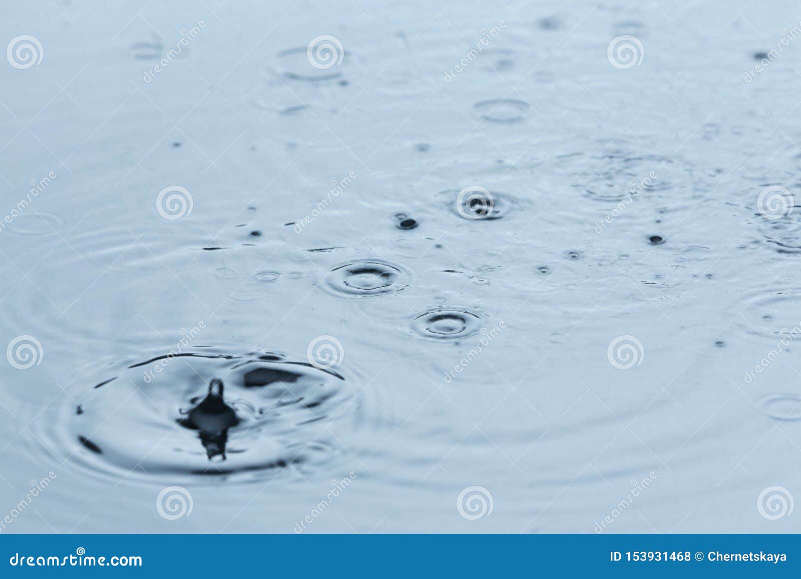 Rain Drops Falling Down into Puddle Stock Photo - Image of liquid, flow ...