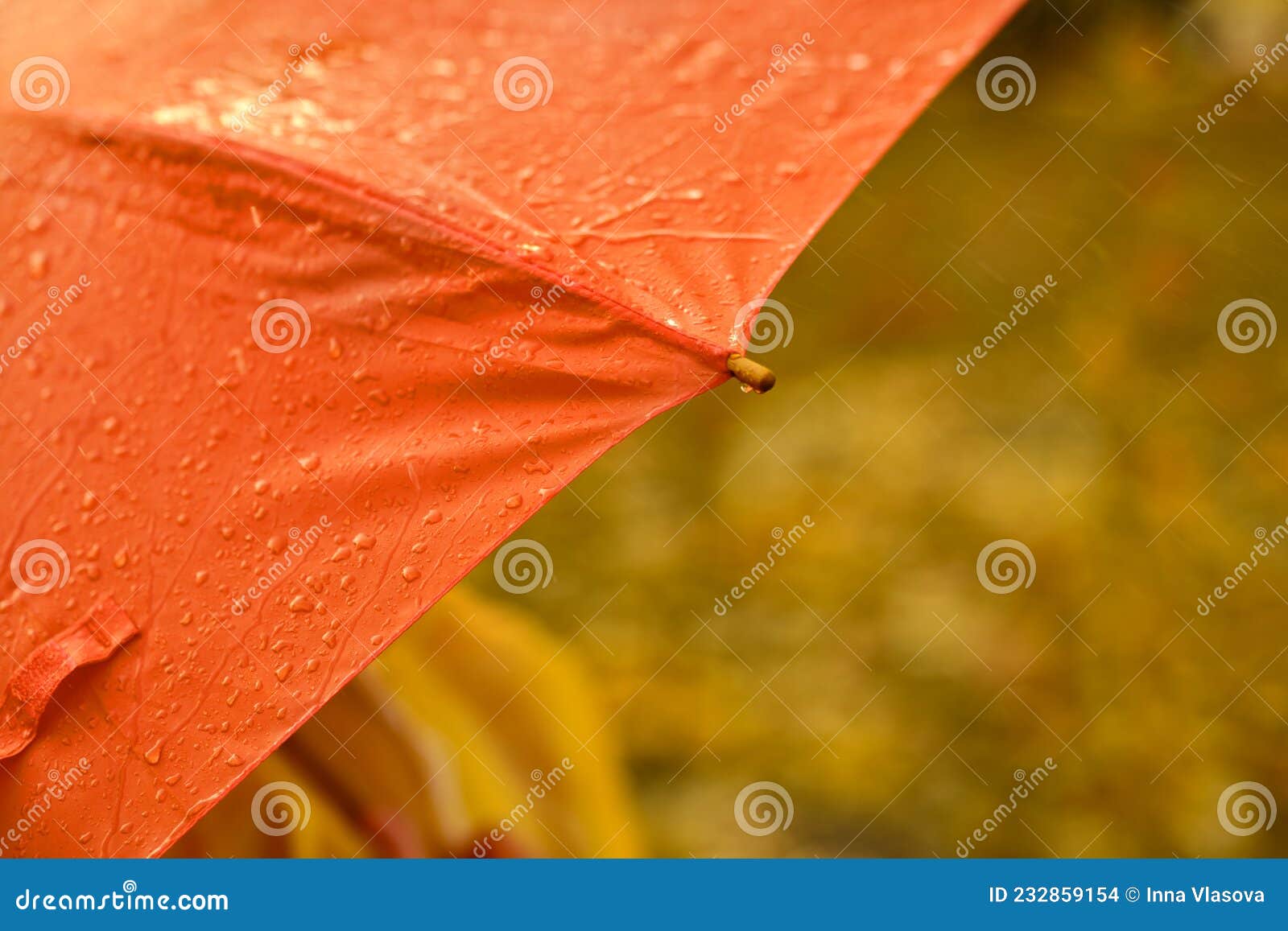Rain Drops Falling from a Orange Umbrella Stock Photo - Image of drop ...