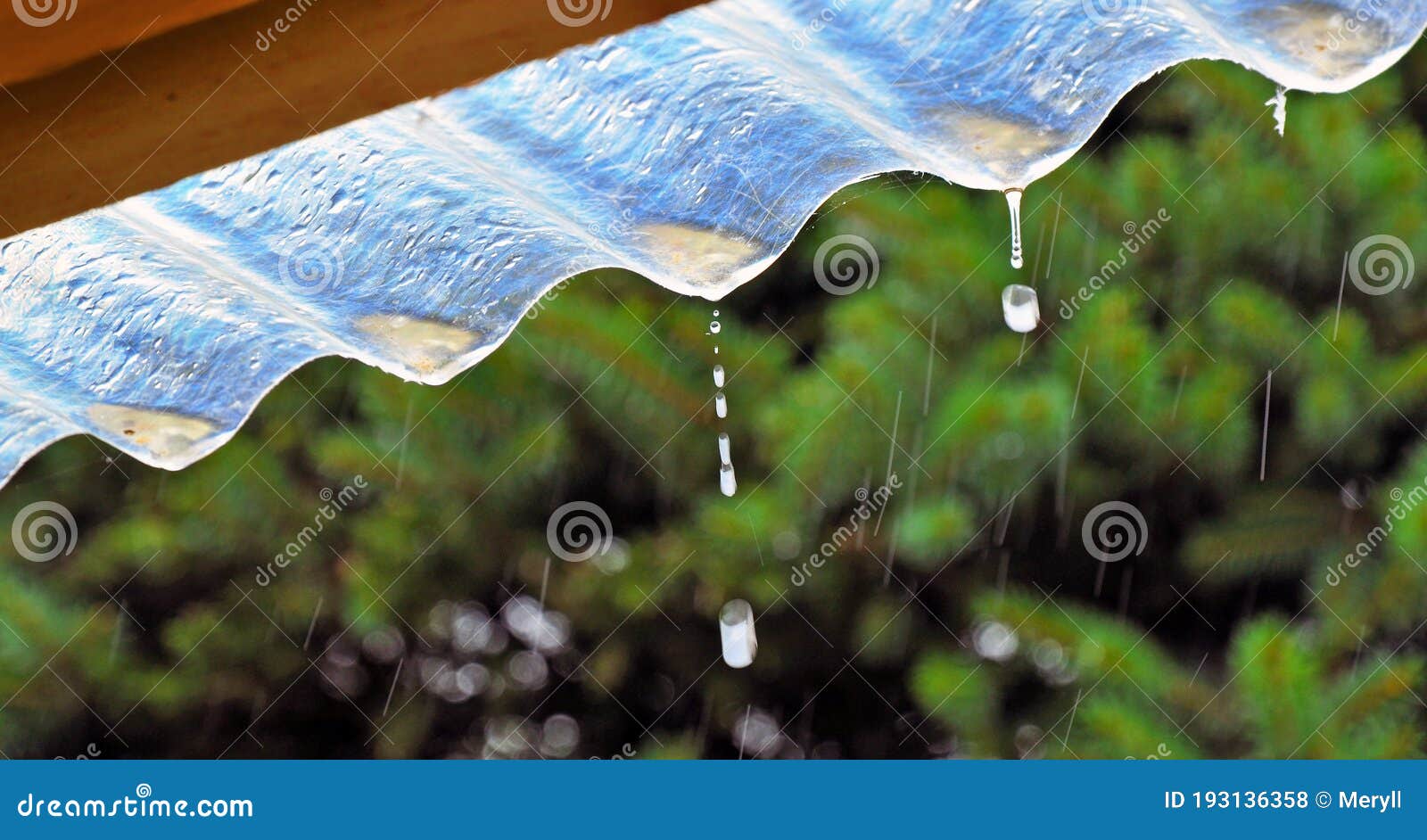 Rain drops falling stock photo. Image of forecast, drop - 193136358