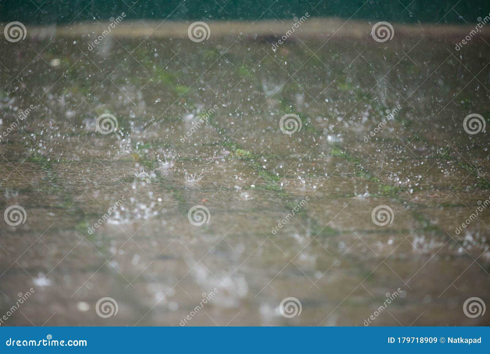 Rain Drops Falling on the Road Stock Image - Image of slippery, falling ...