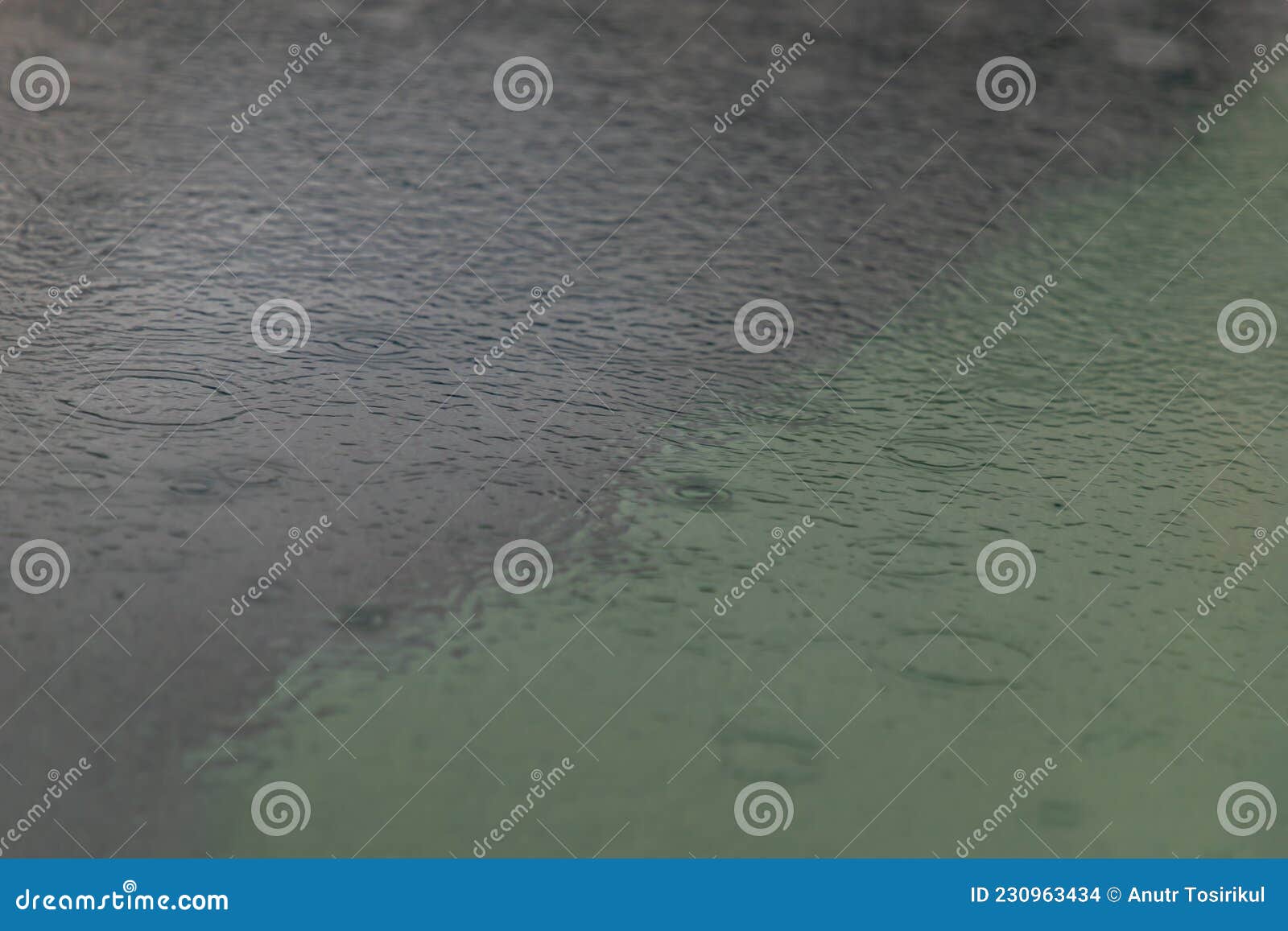 Rain Drops Falling in the Swimming Pool Stock Photo - Image of calm ...