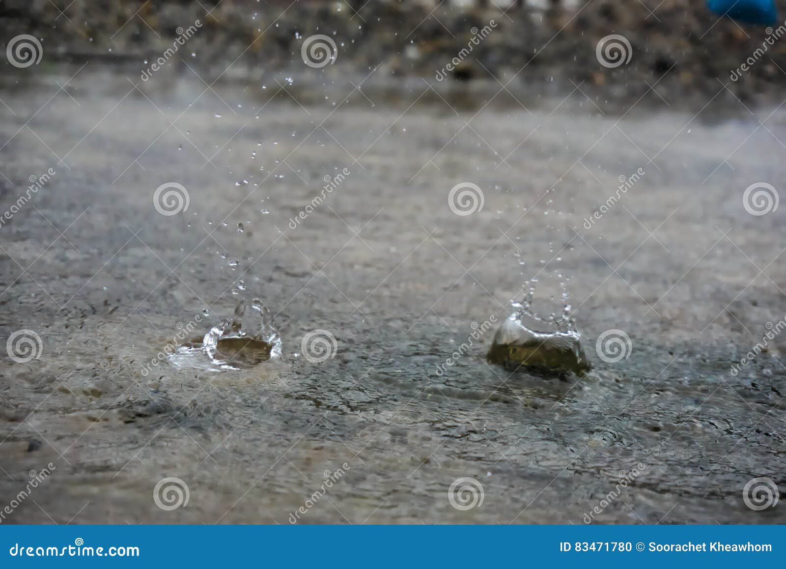 The rain drops. stock photo. Image of pouring, nature - 83471780