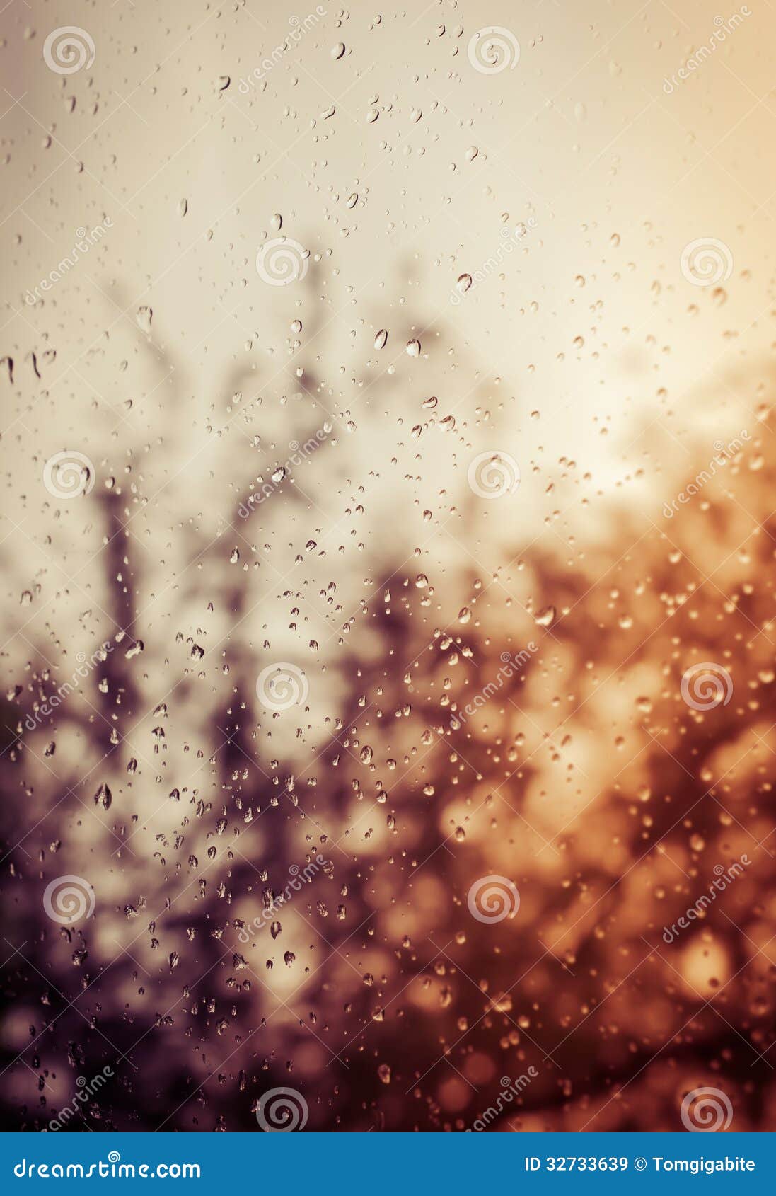 Rain drops on glass stock image. Image of liquid, grey - 32733639