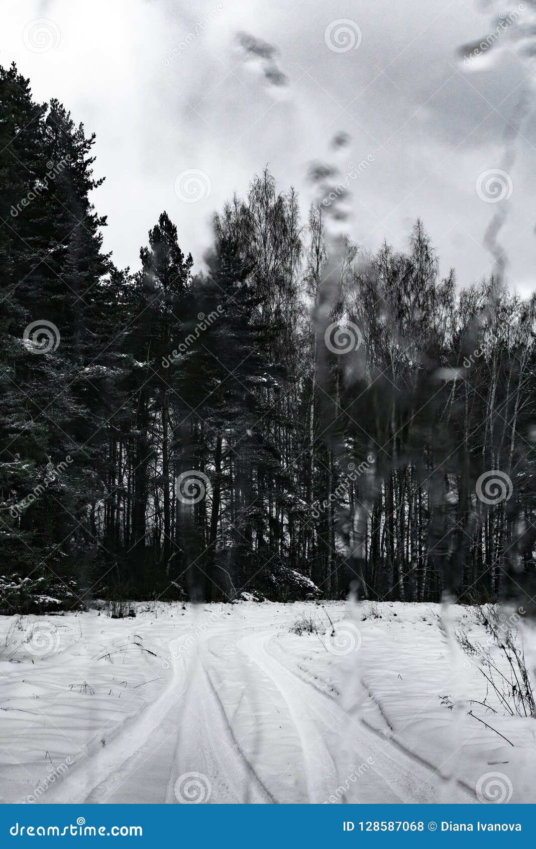 Rain Drops on Glass Window, with Background of Forest Stock Photo ...