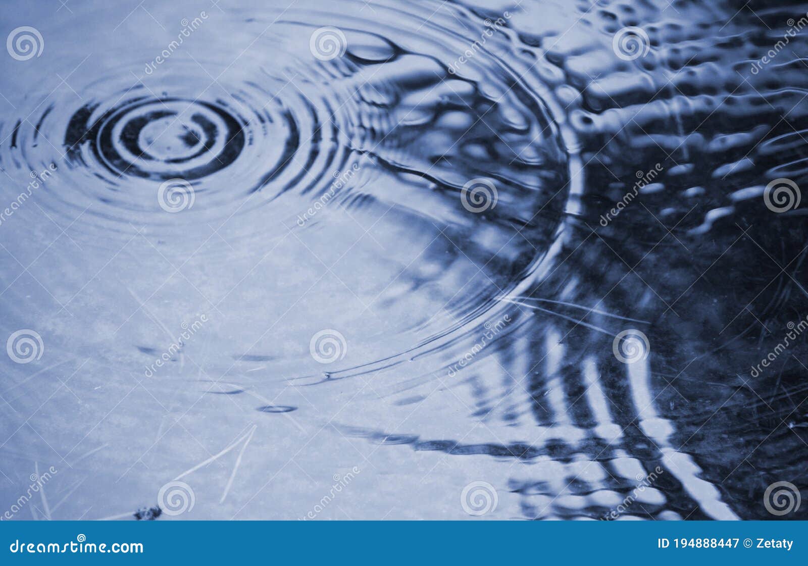 Rain drops hit a puddle stock image. Image of abstract - 194888447