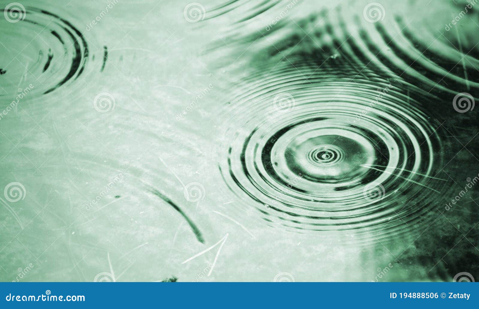 Rain drops hit a puddle stock photo. Image of drop, fall - 194888506