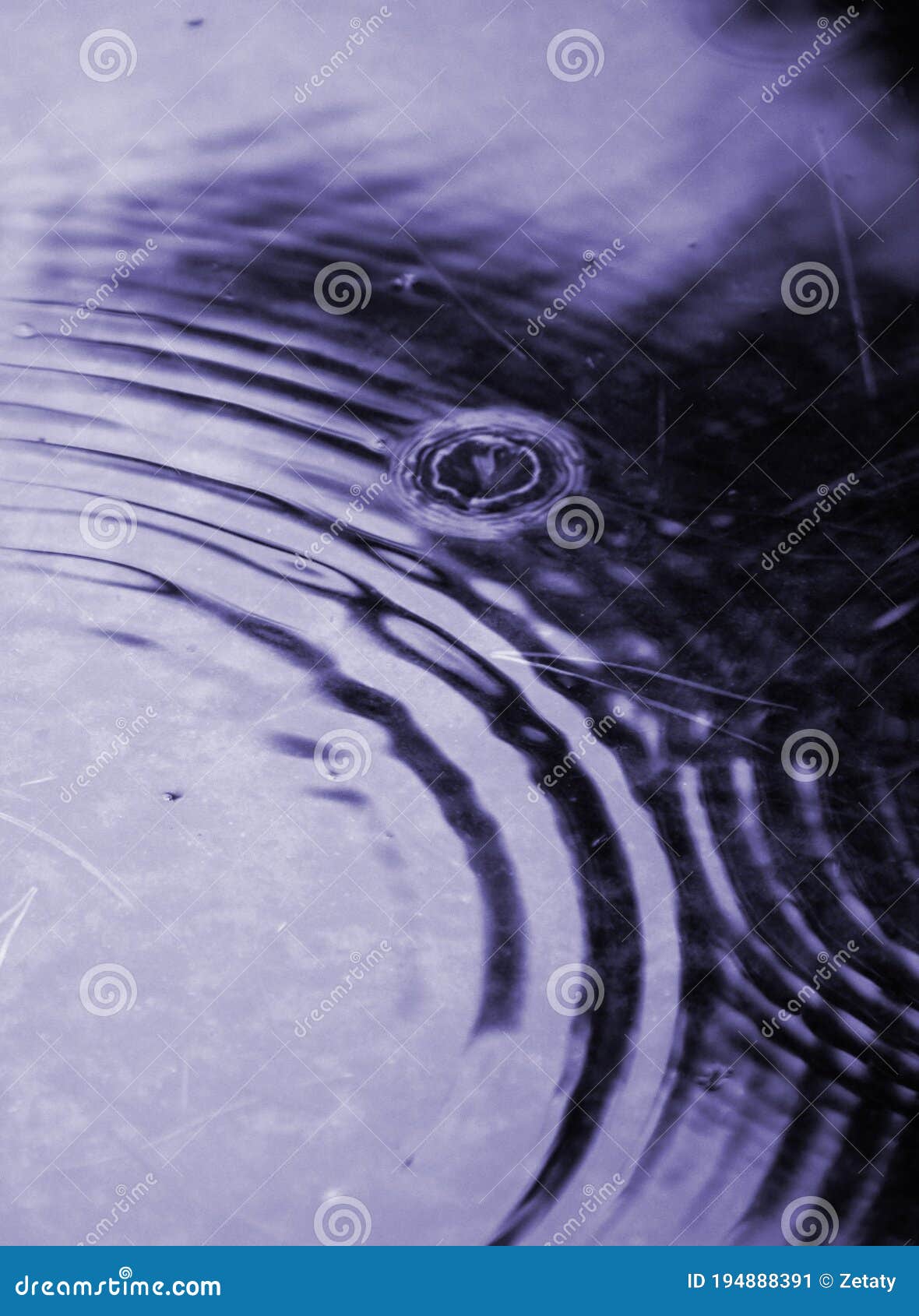 Rain drops hit a puddle stock image. Image of raindrop - 194888391