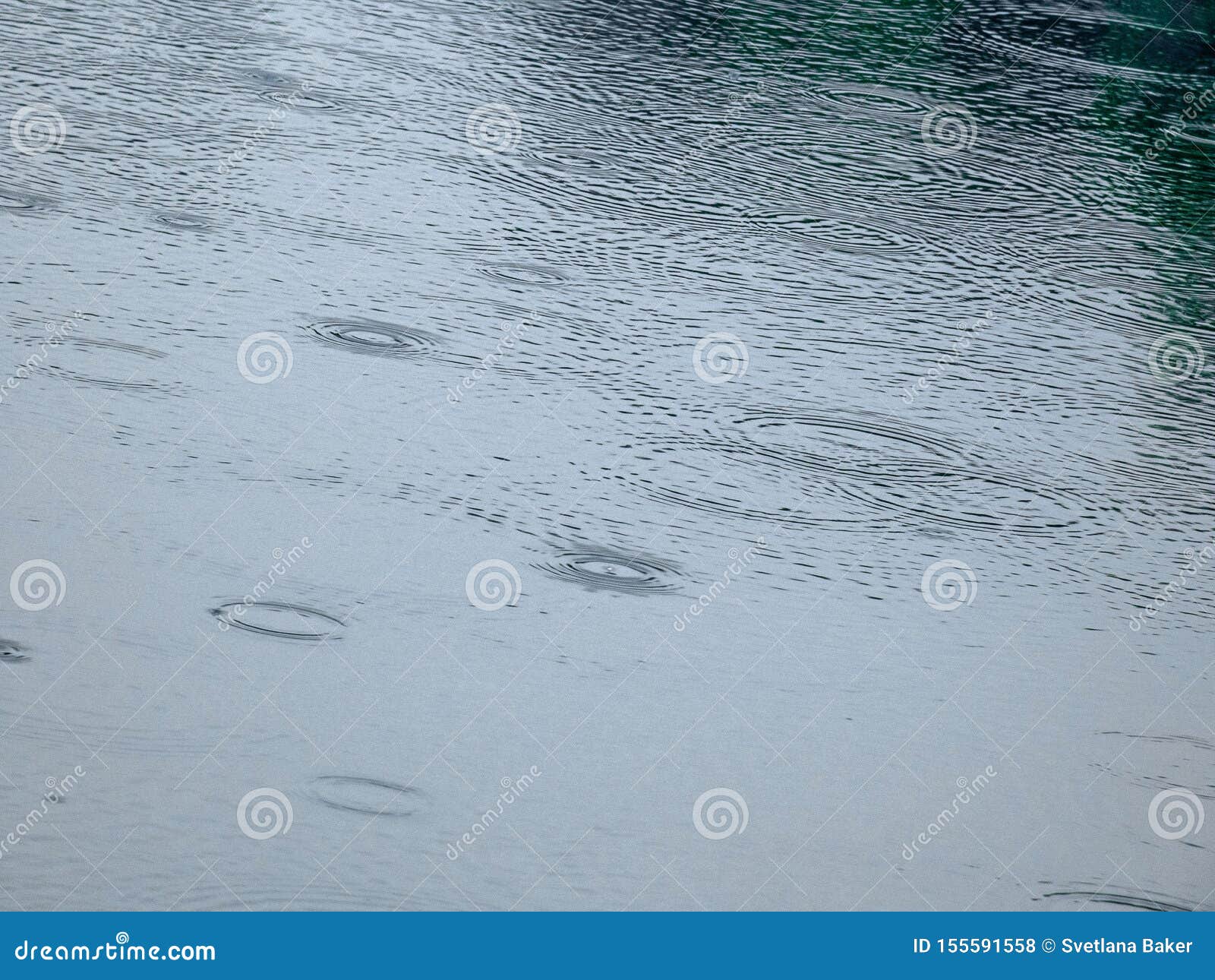 Rain Drops Hitting Water Surface Stock Photo - Image of circle, lake ...