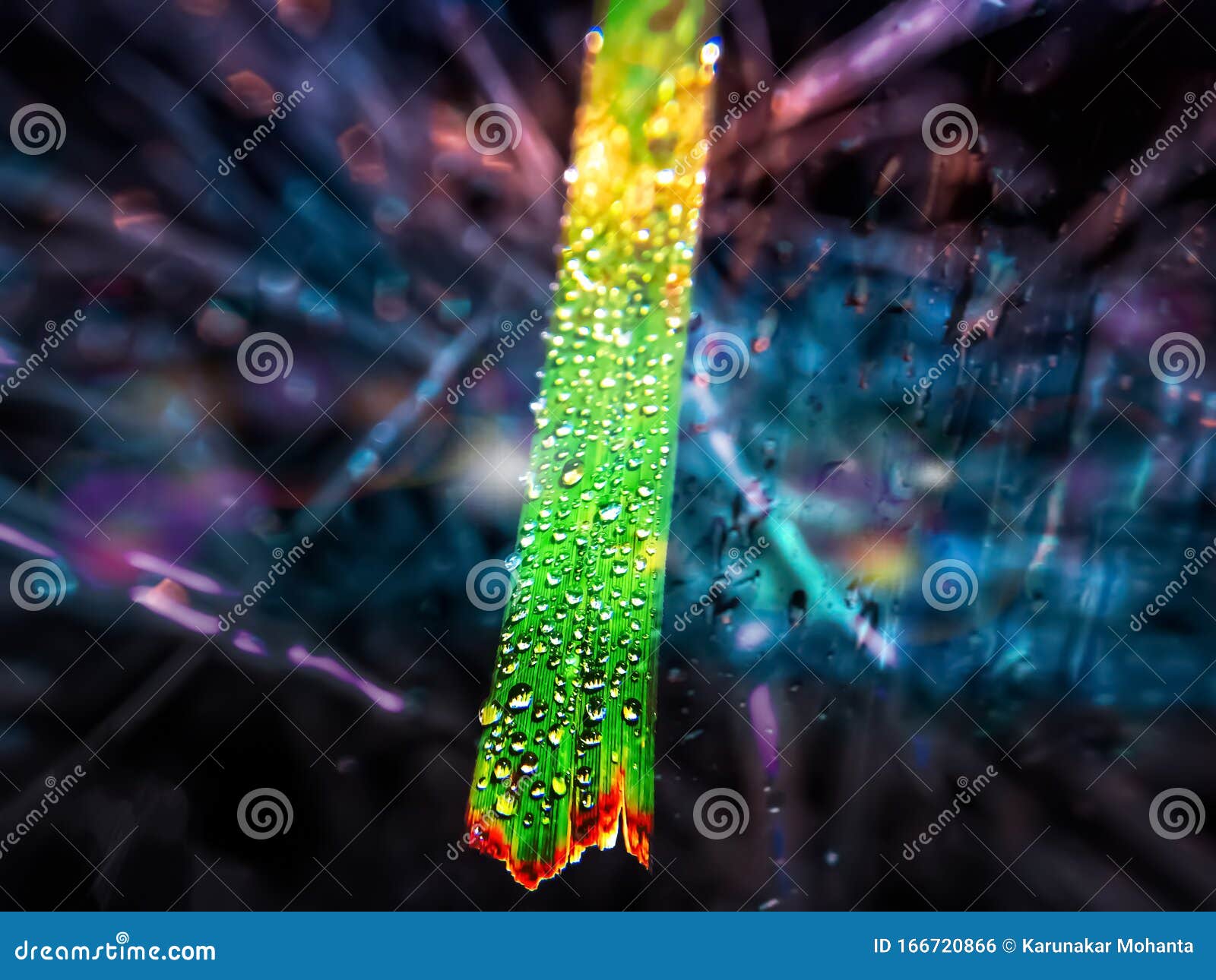 Rain Drops Image with Rainbow Stock Photo - Image of black, rainbow ...