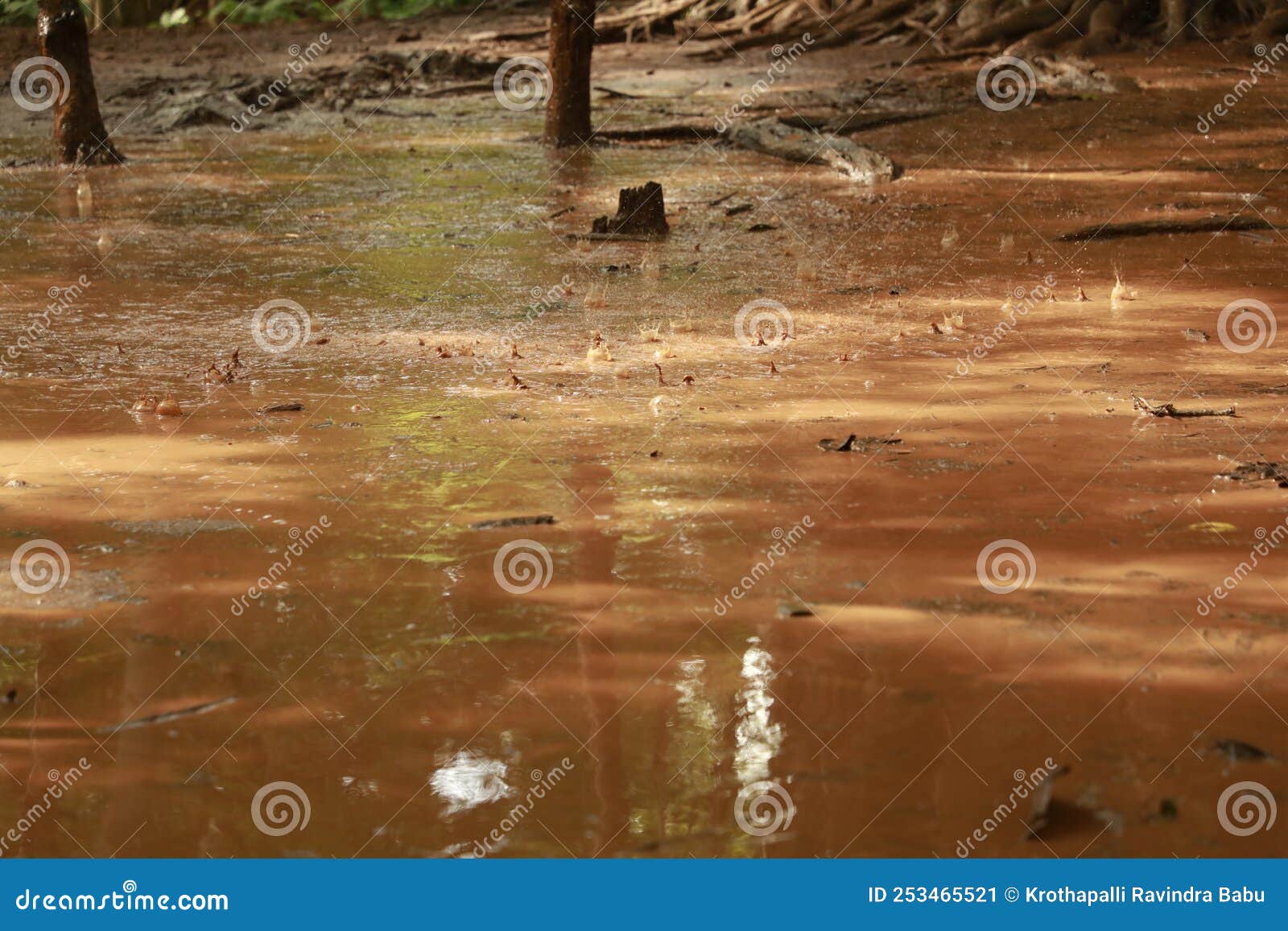 Rain Drops in the Mud Water Stock Image - Image of storm, hill: 253465521