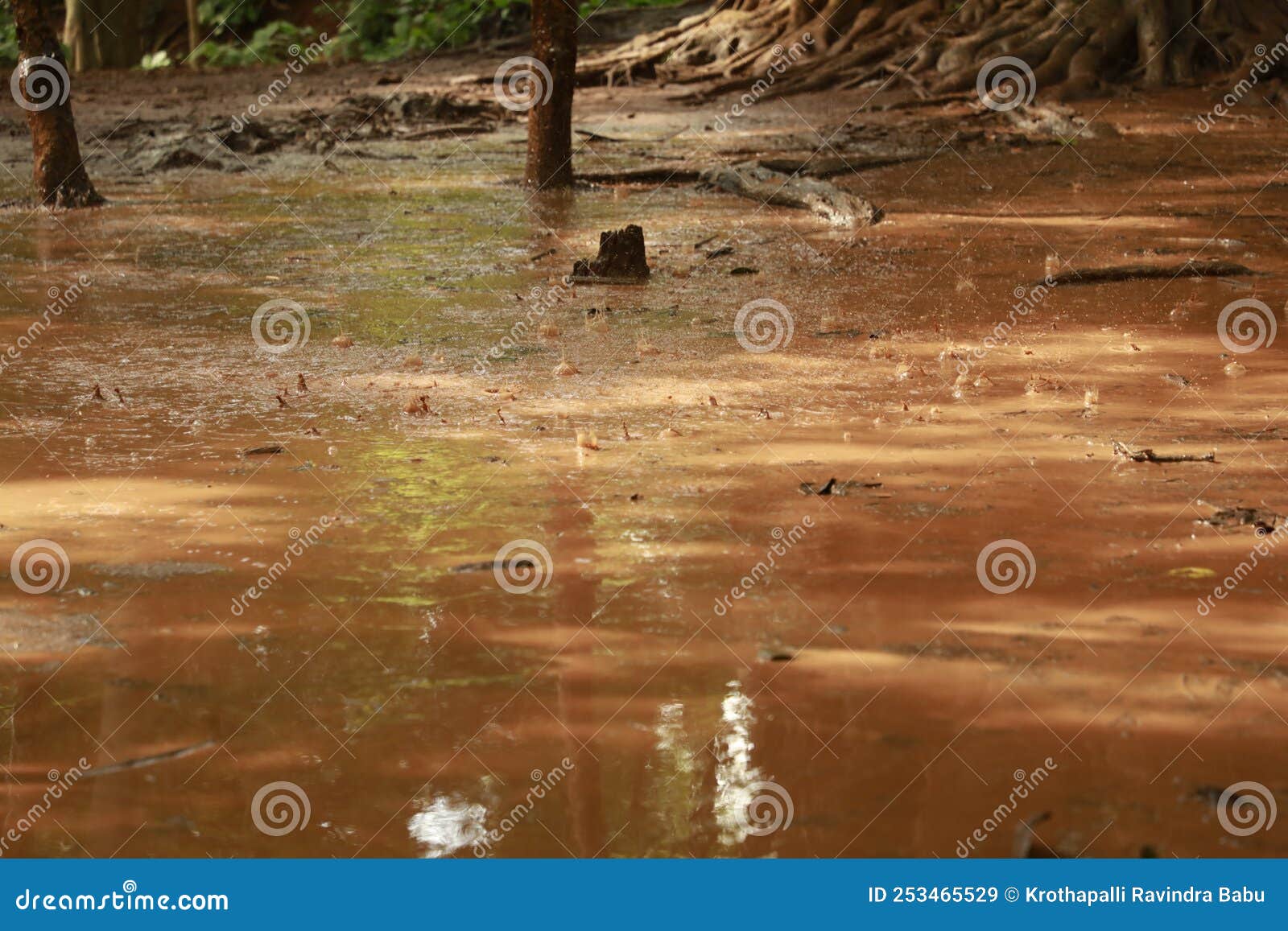 Rain Drops in the Mud Water Stock Image - Image of focus, reflection ...