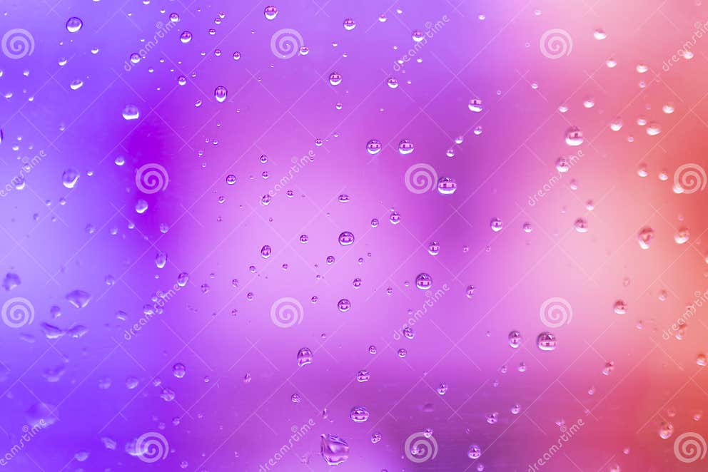 Rain Drops on Pink and Purple Gradient Background Stock Image - Image ...