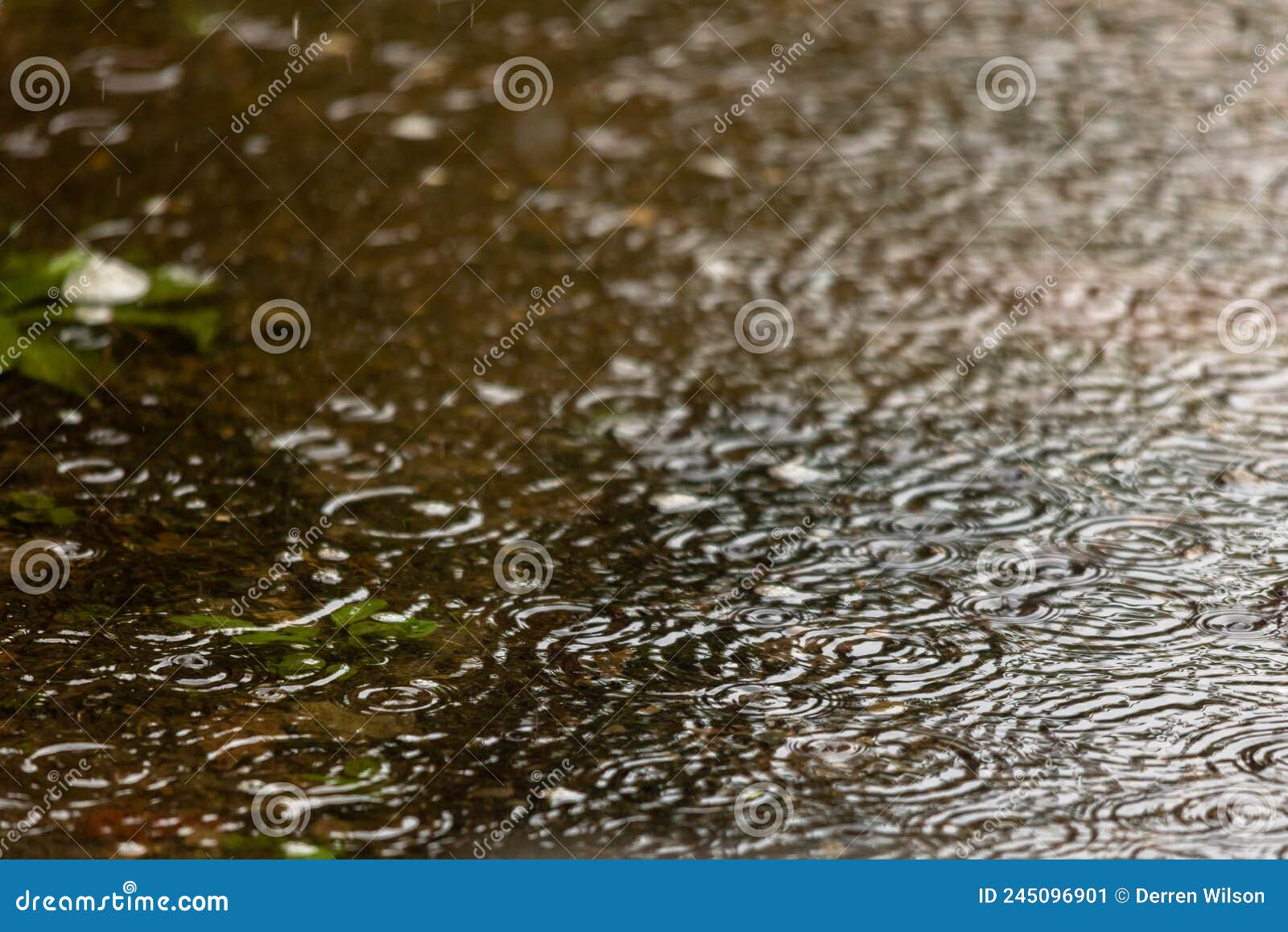 Rain Drops on a Puddlerain Drops on a Puddle Stock Image - Image of ...