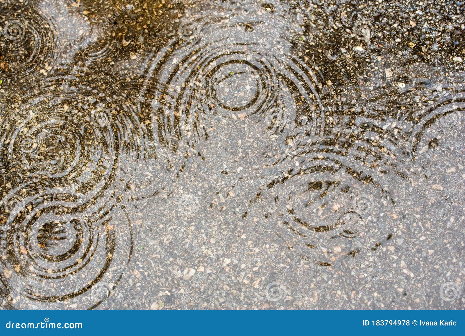Rain Drops in a Puddle stock photo. Image of rain, water - 183794978