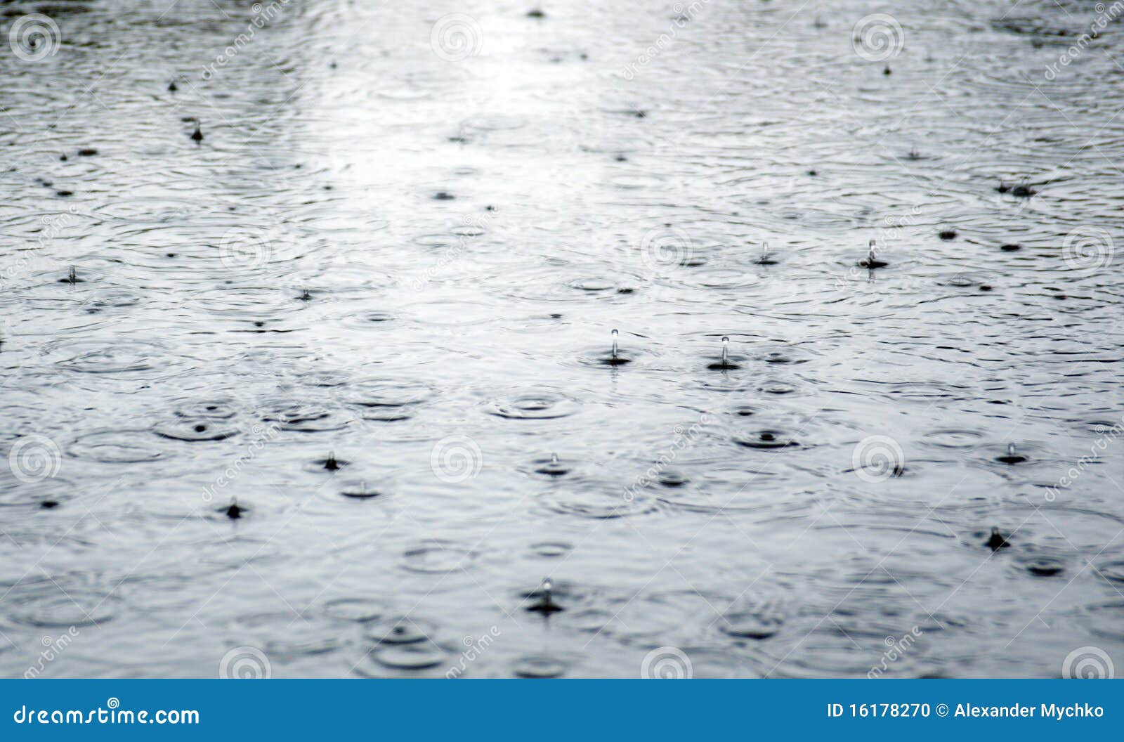 Rain Drops Rippling in a Puddle . Stock Photo - Image of pond ...