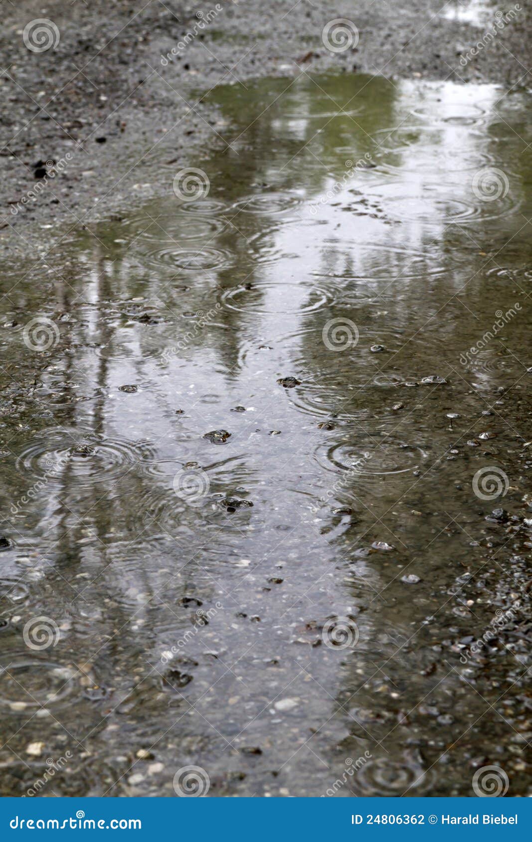 Rain Drops Rippling in a Puddle Stock Photo - Image of outdoors, rain ...