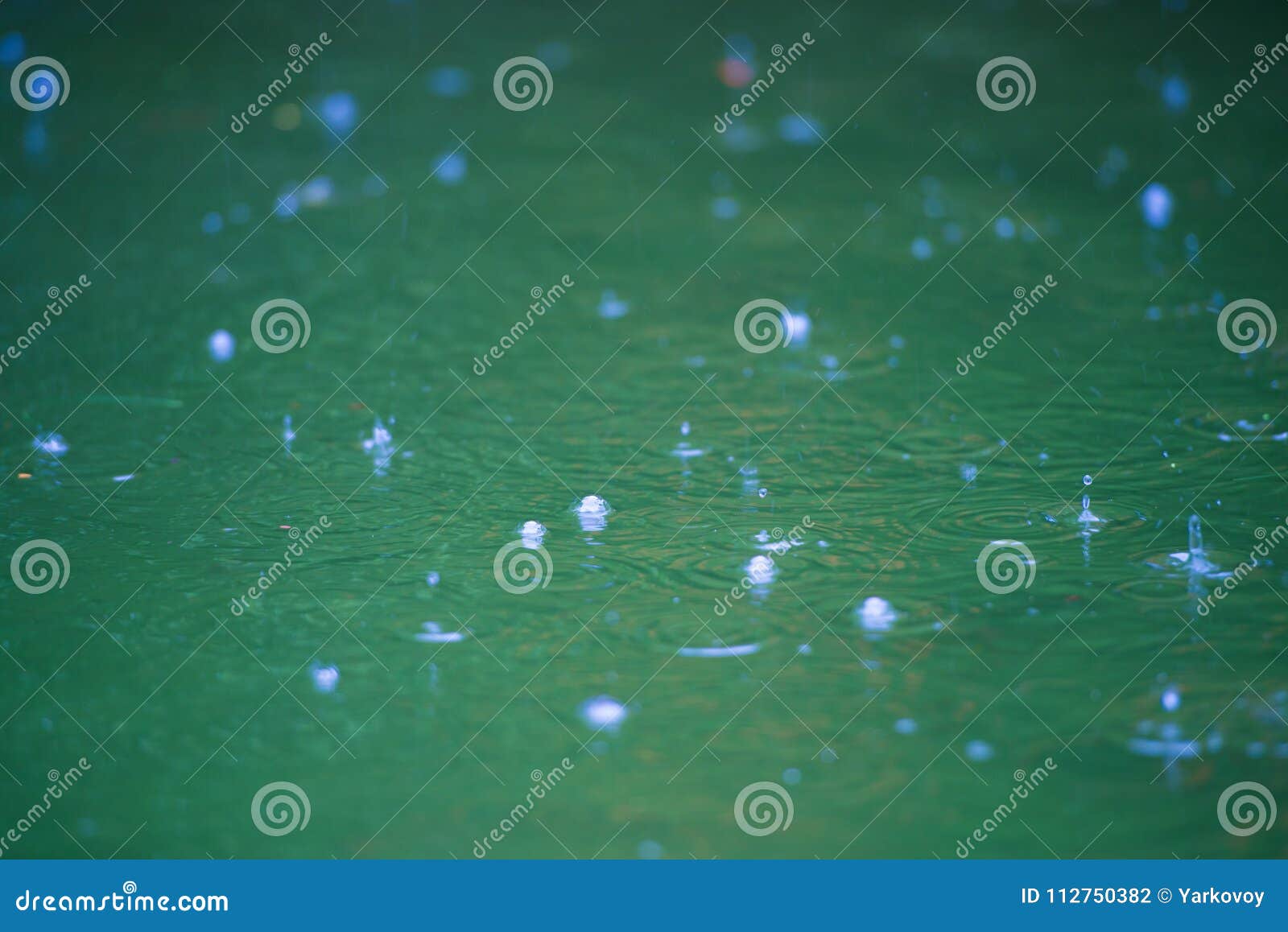 Rain Drops Rippling in a Puddle with Blue Sky Reflection Stock Photo ...