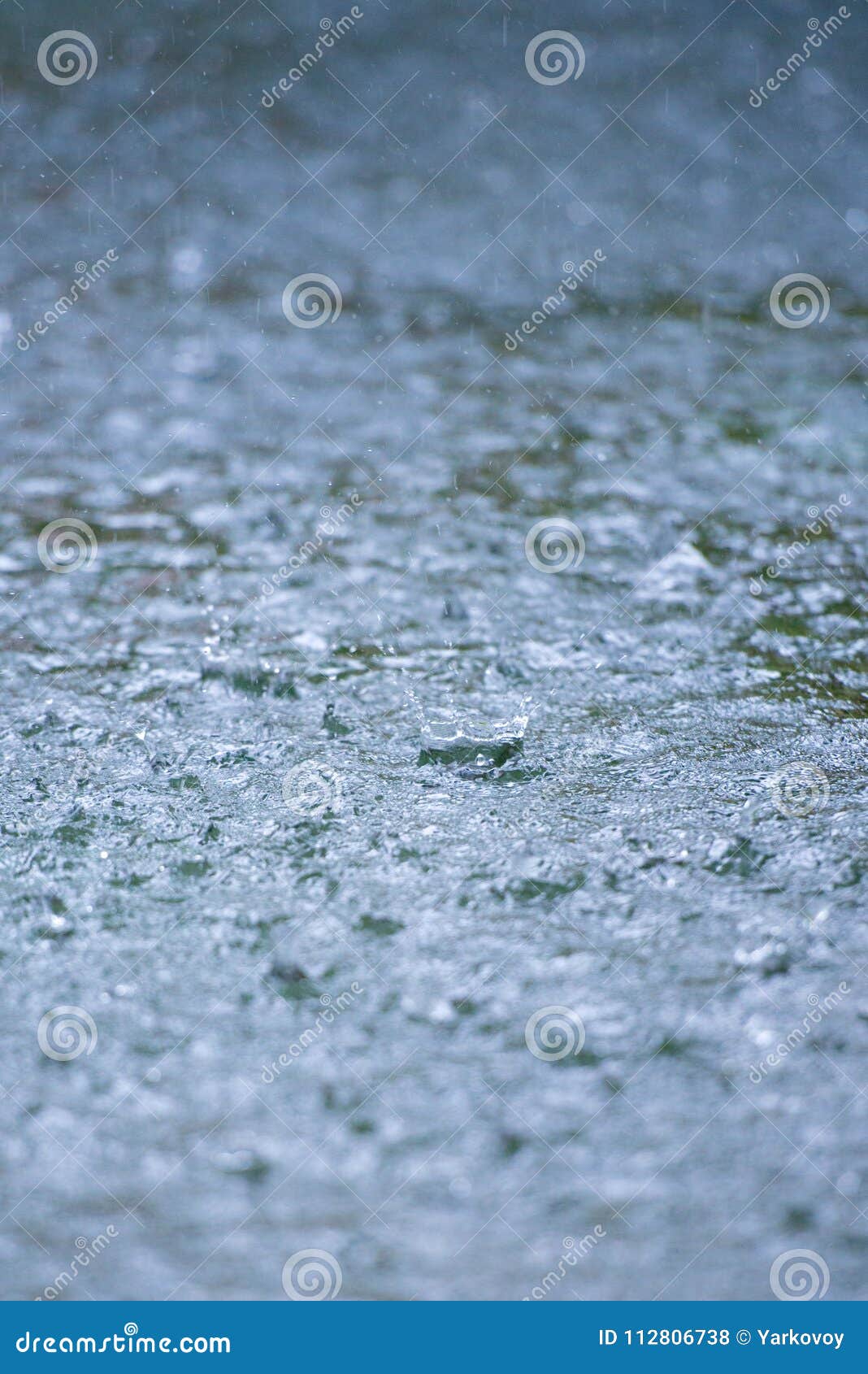 Rain Drops Rippling in a Puddle with Blue Sky Reflection Stock Photo ...