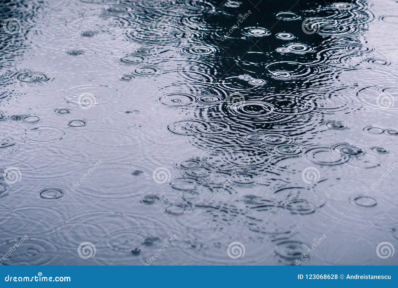 Rain Drops Rippling in a Puddle Stock Photo - Image of drop, falling ...