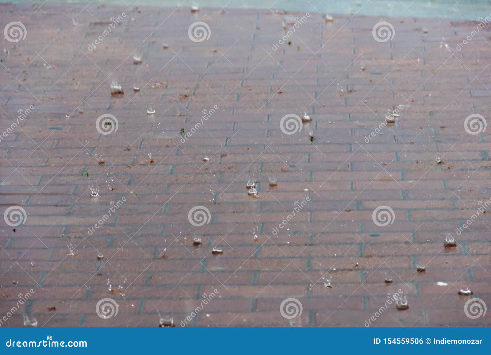 Rain Drops Rippling in a Puddle with Reflection Stock Photo - Image of ...