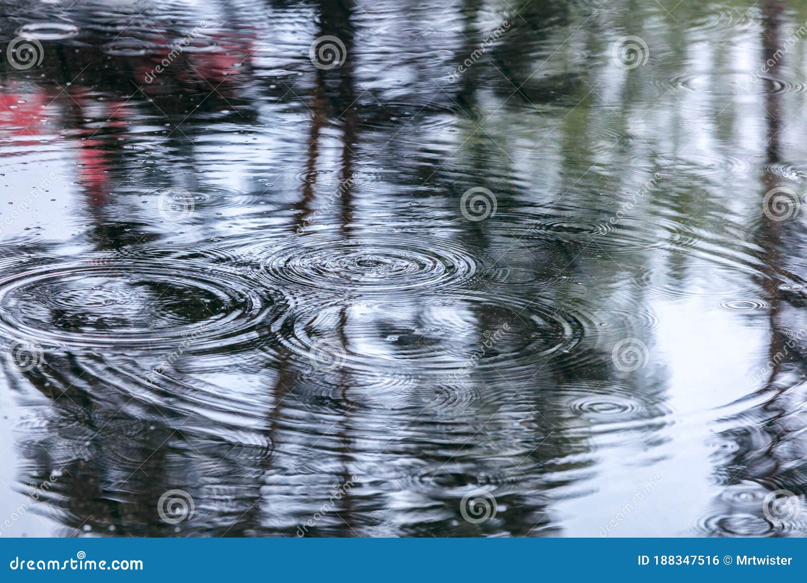 Rain Drops Rippling in a Puddle with Sky and Trees Reflections Stock ...